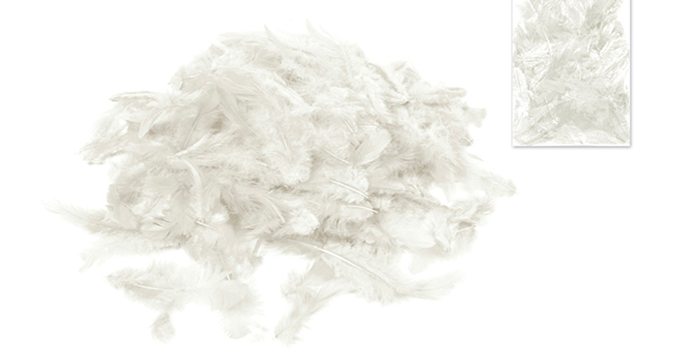 white feathers - Educatall Online Store