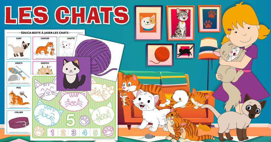 Chats, activités pour enfants. | Educatout