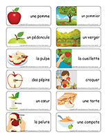 Les pommes, activités pour enfants. | Educatout