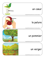 Les pommes, activités pour enfants. | Educatout